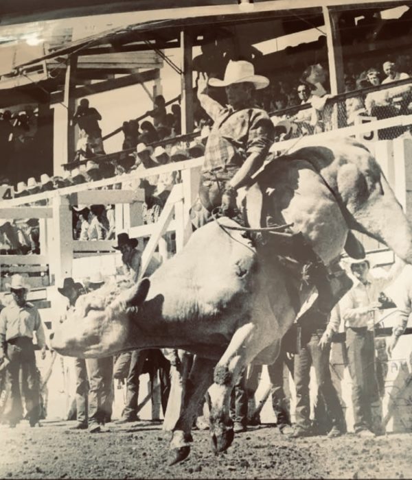 Proctor, Ronnie - Inductee of the Texas Rodeo Cowboy Hall of Fame