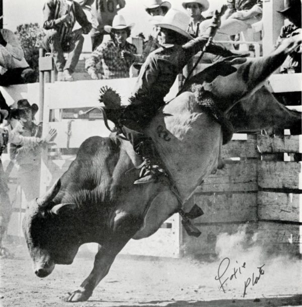 Gay, Don - Inductee of the Texas Rodeo Cowboy Hall of Fame