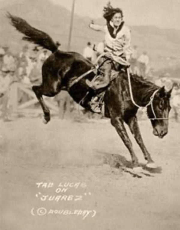 Lucas, Tad - Inductee of the Texas Rodeo Cowboy Hall of Fame
