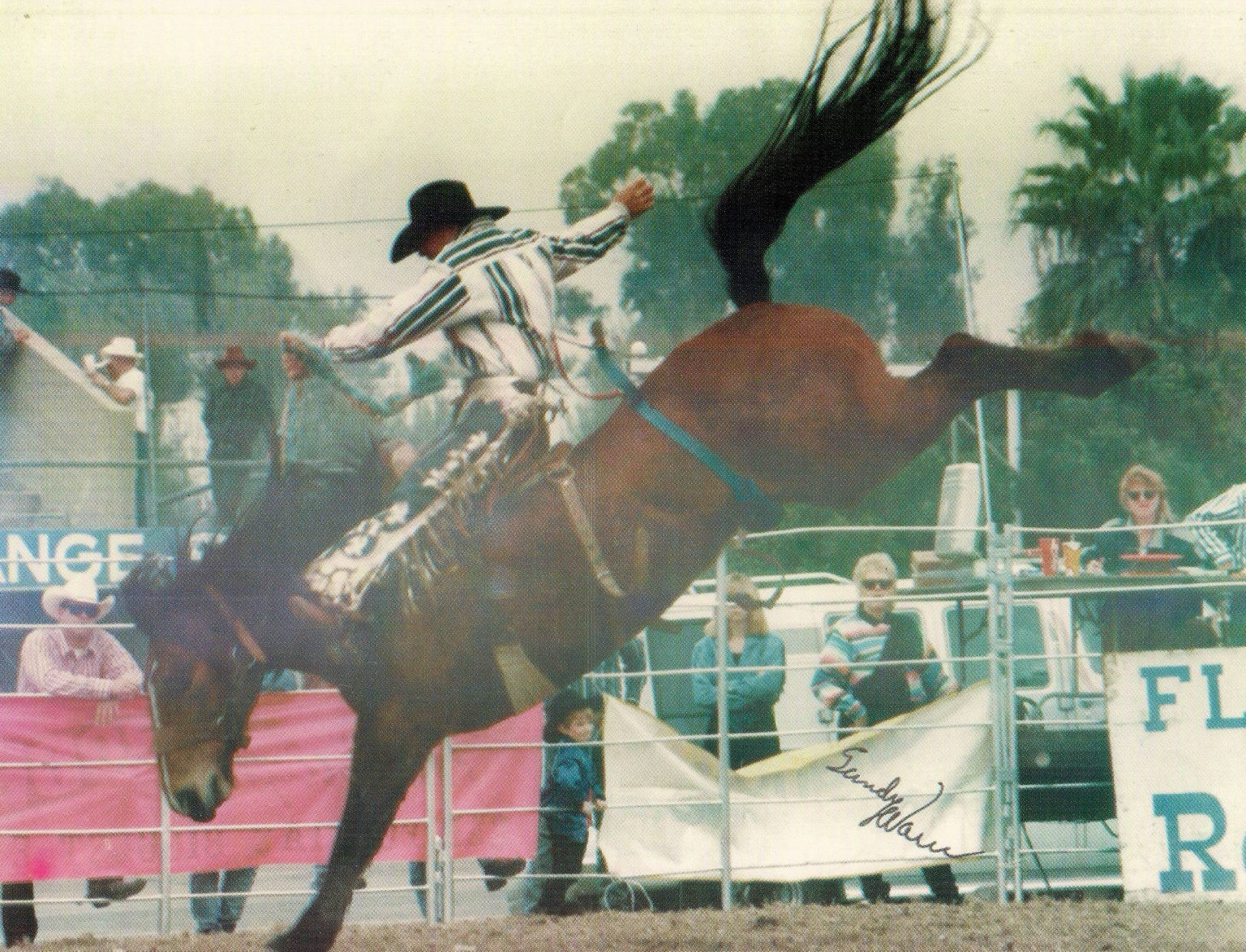 Blackwood, Bob BB - Inductee of the Texas Rodeo Cowboy Hall of Fame