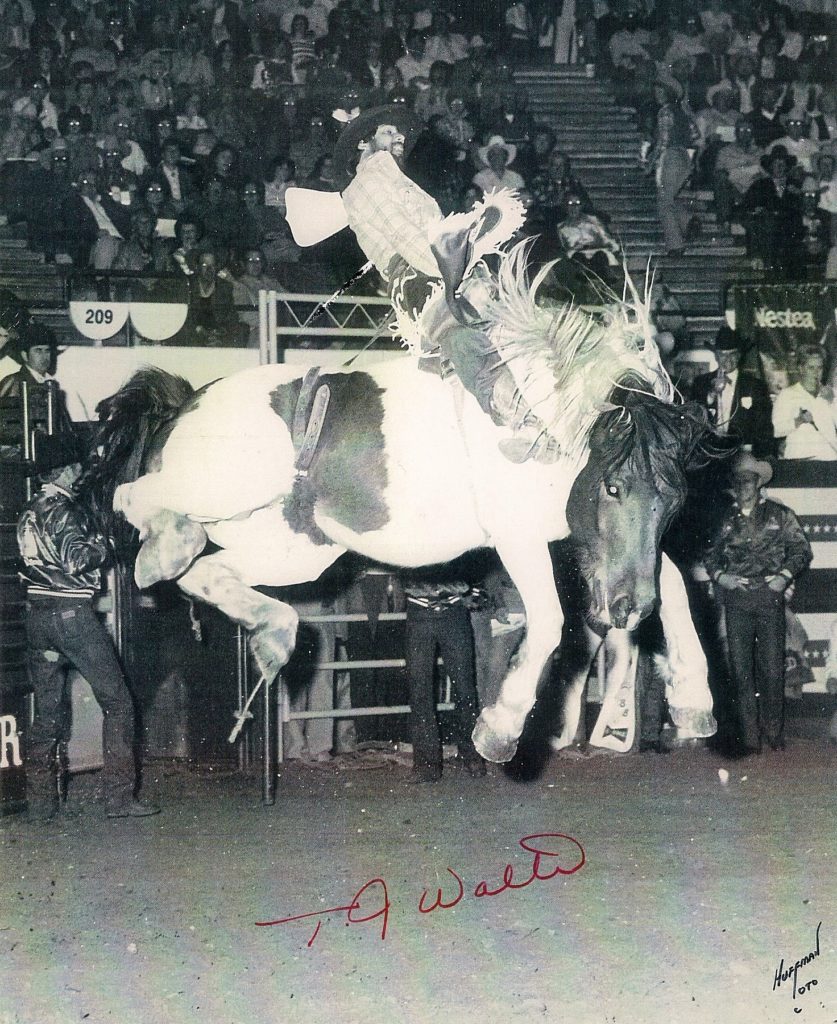 TJ Walter Pic - Texas Rodeo Cowboy Hall of Fame