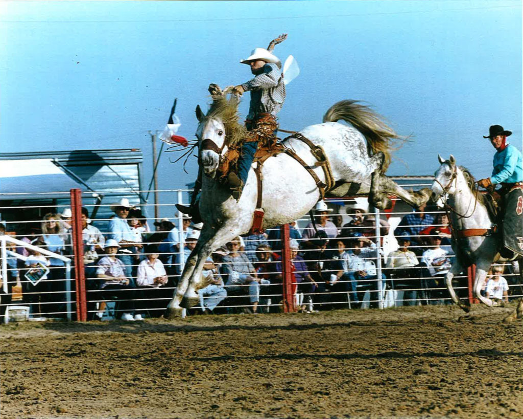 Walls, Terry - Inductee of the Texas Rodeo Cowboy Hall of Fame