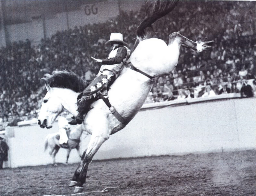 Stormy Weather owned by Tommy Steiner - Inductee of the Texas Rodeo ...