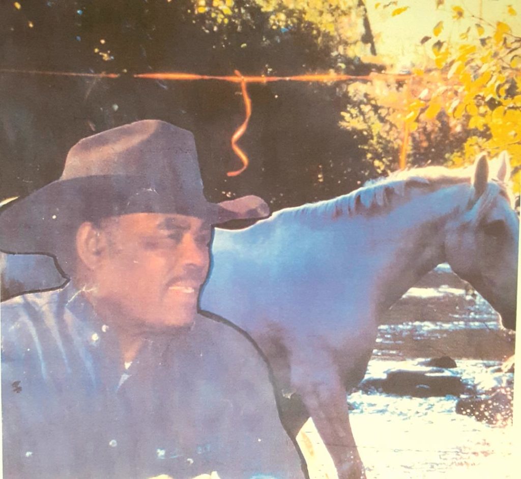 Empty Saddles - Texas Rodeo Cowboy Hall of Fame