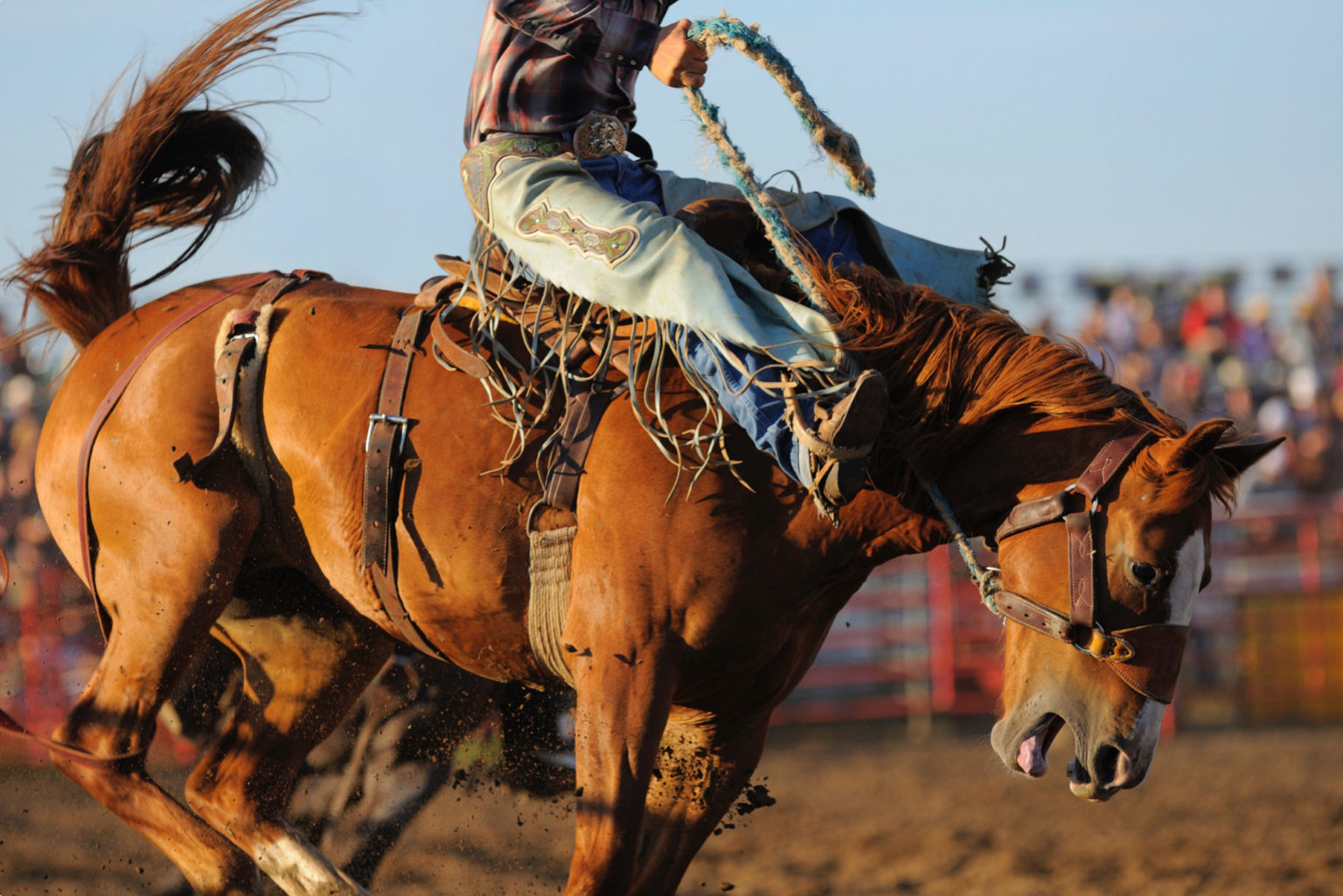 Texas Rodeo Cowboy Hall of Fame at Cowtown Coliseum in Fort Worth, Texas