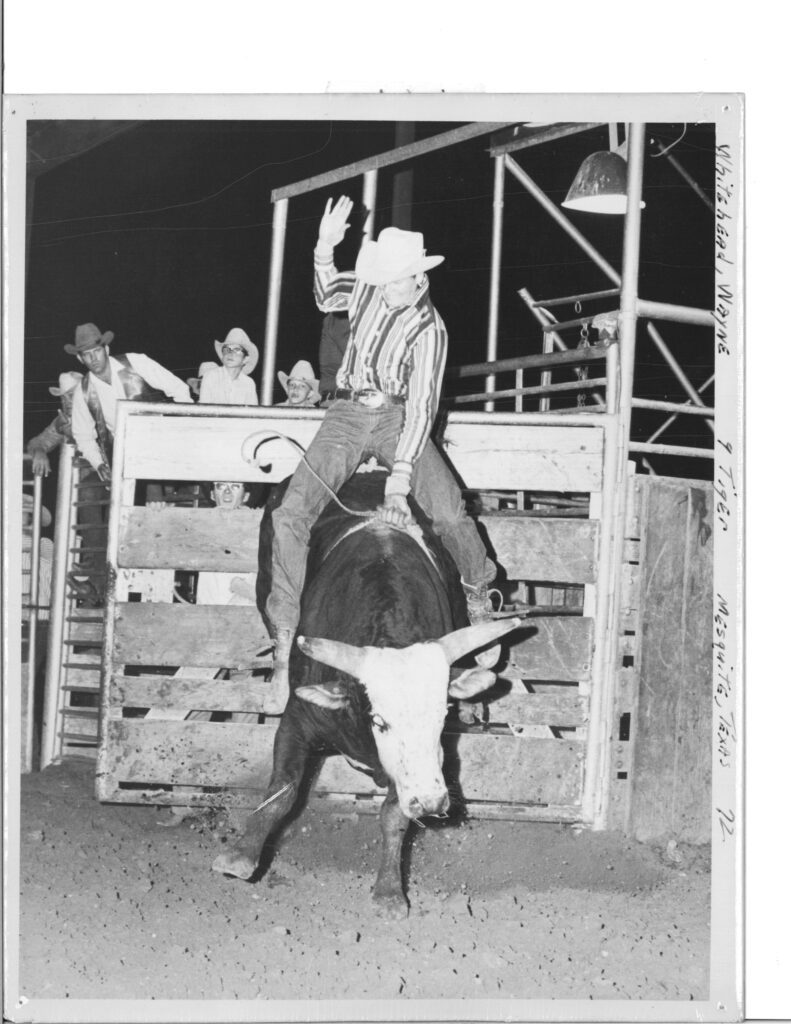 Inductees Archive - Page 2 of 54 - Texas Rodeo Cowboy Hall of Fame