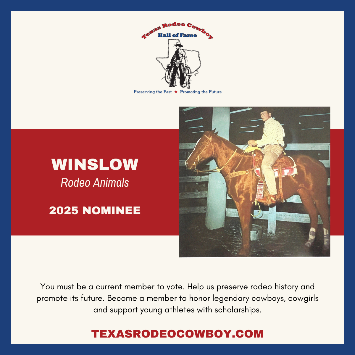 Rodeo Animals - Texas Rodeo Cowboy Hall of Fame